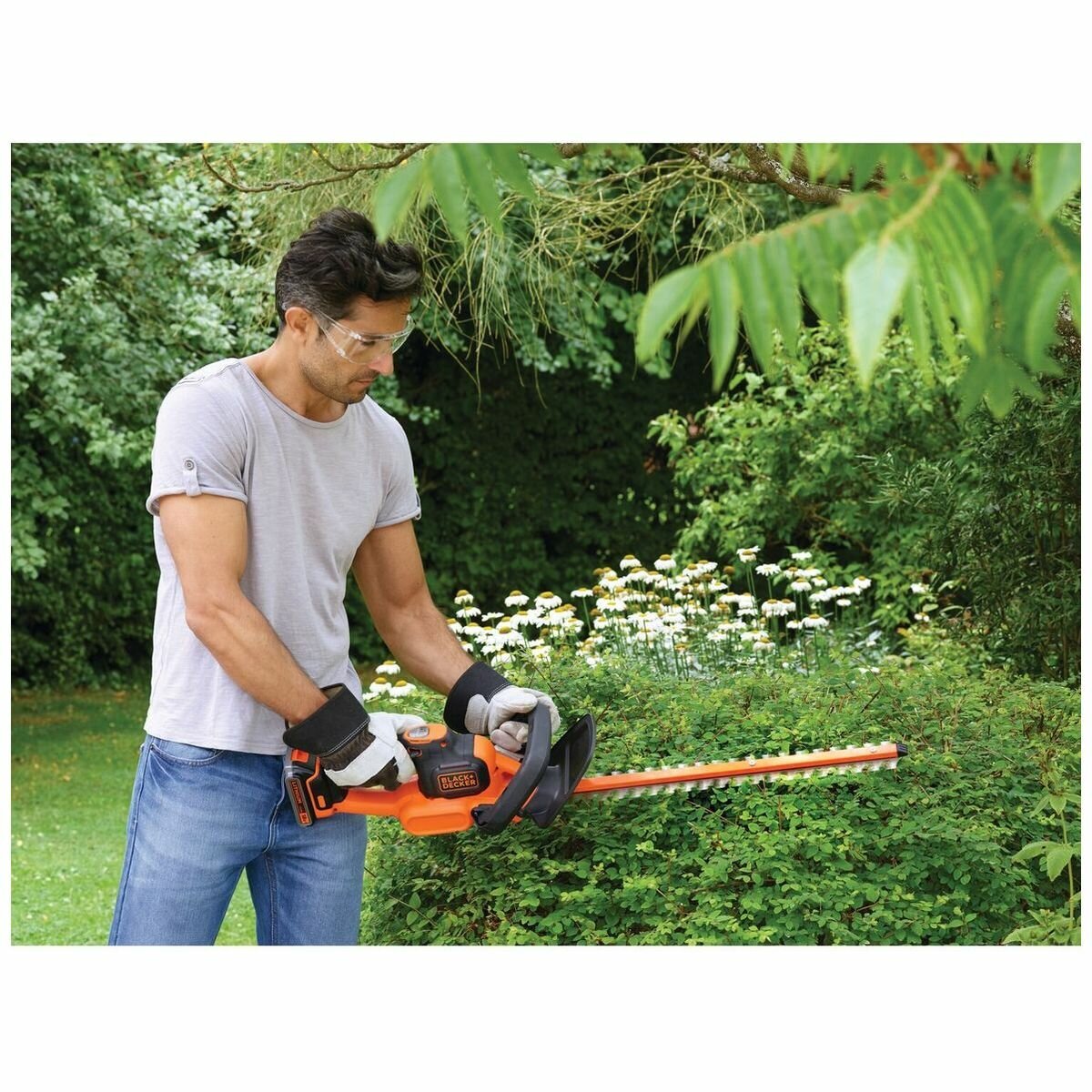 Black & decker cordless hedge trimmer store