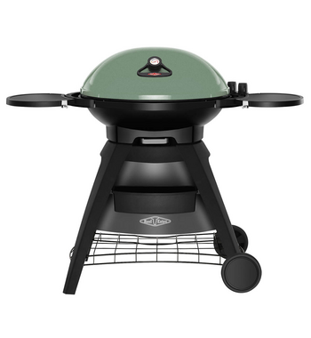 Beefeater BIGG BUGG 2 Burner Portable LPG BBQ with Trolley Green ...